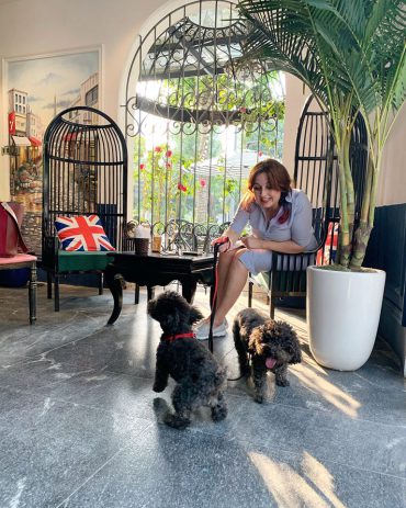 Thiết kế quán cafe chó - Không mới nhưng chưa bao giờ hết HOT!